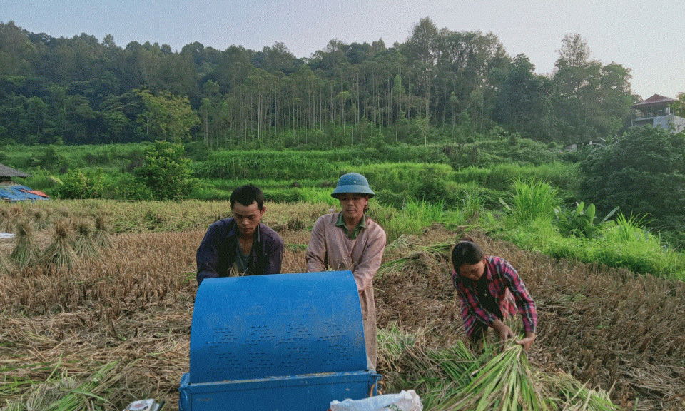 An toàn lao động trong sản xuất nông nghiệp - Vấn đề cần quan tâm - Báo ...