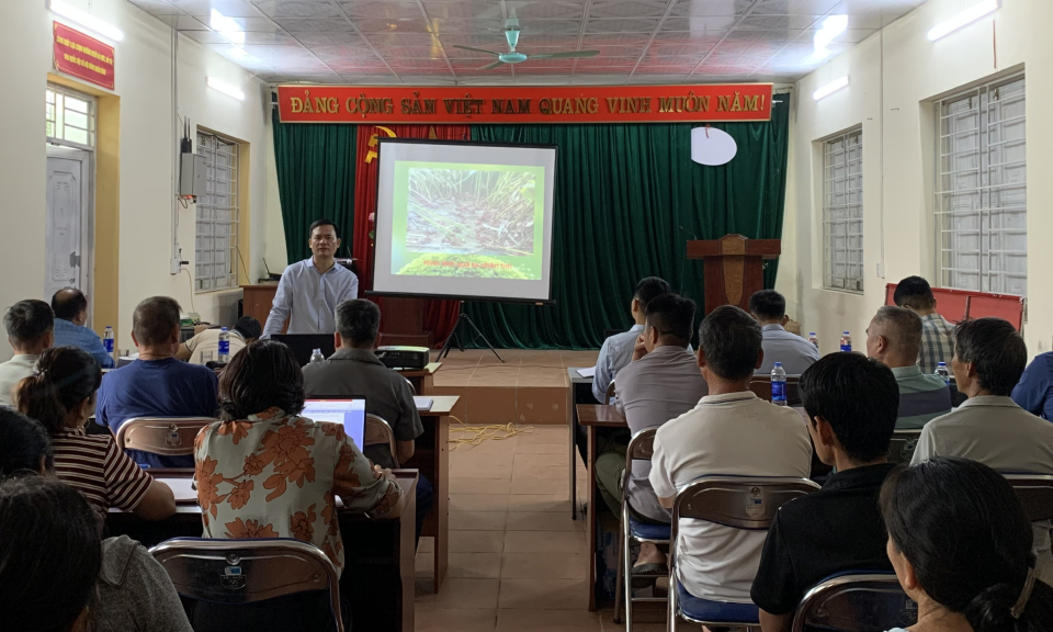 Xã Bạch Đằng Hội thảo trồng rừng, cây dược liệu có giá trị kinh tế cao ...