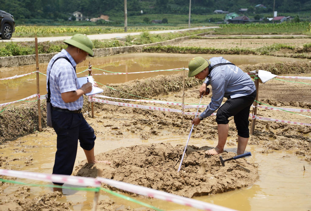 Khảo sát thực địa hố sụt Trường Hà - Làm rõ các yếu tố địa chất khu vực ...
